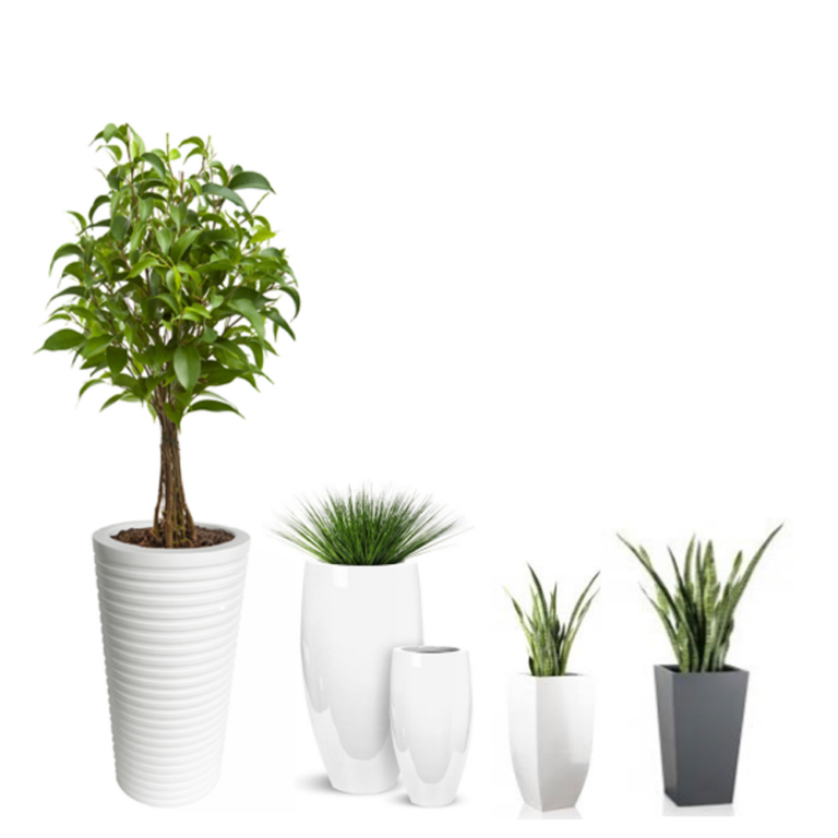GRP/GRC Planter Pots – Fibre Plus